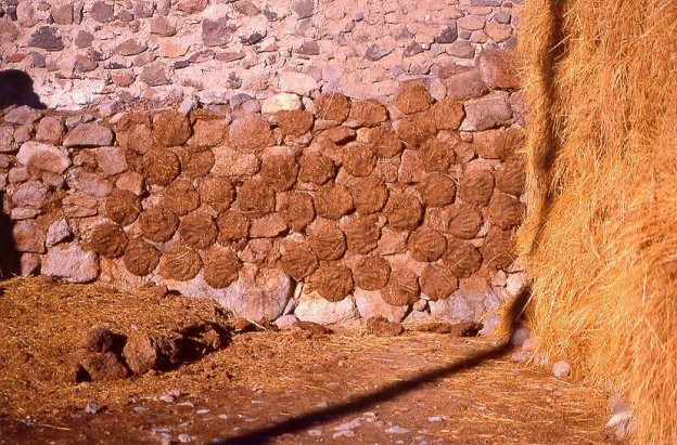 anatolia_tezek | Rüya Tabiri | Rüya Tabirleri | Rüya Yorumları